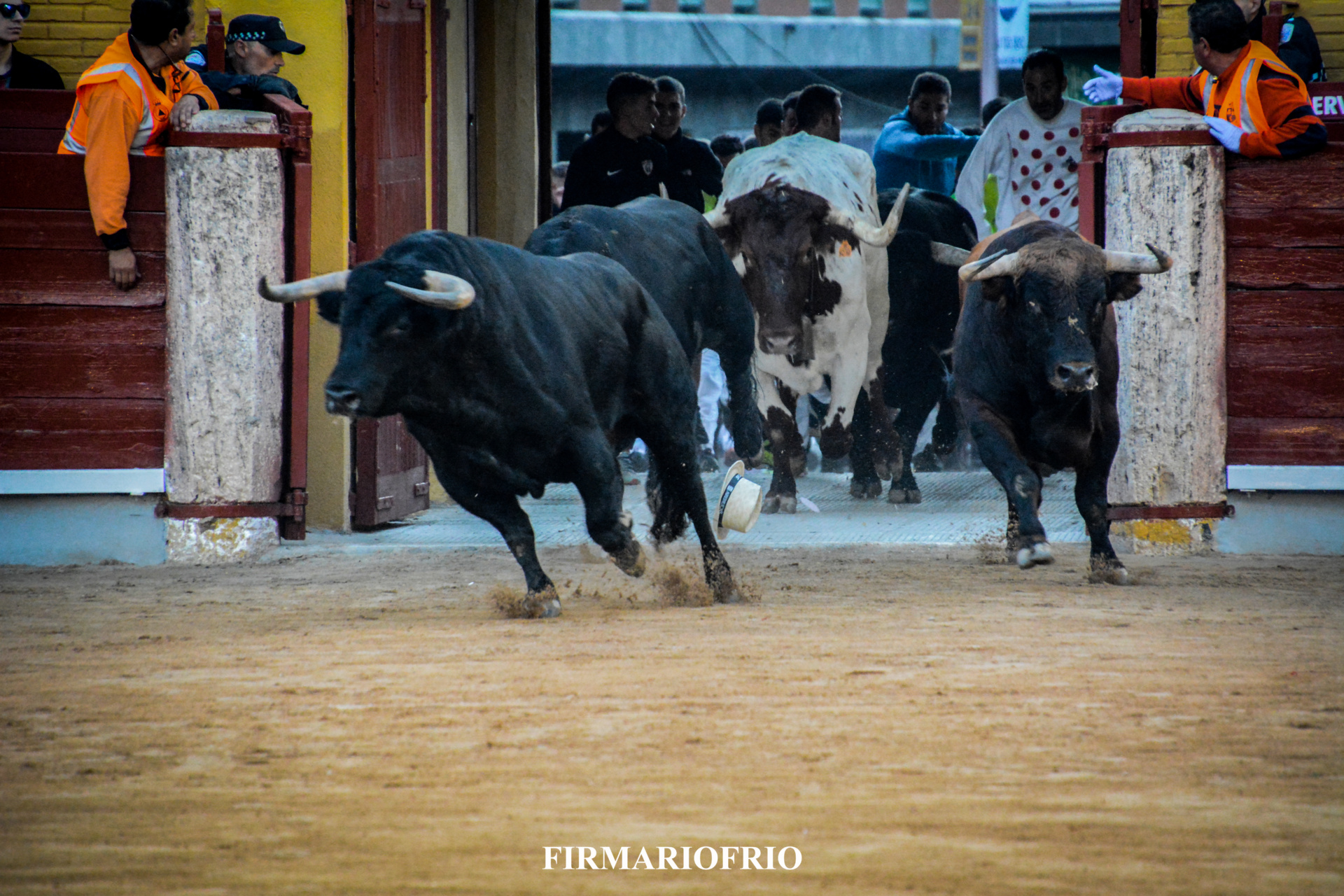 Un vertiginoso segundo encierro con un herido "con magulladuras ...