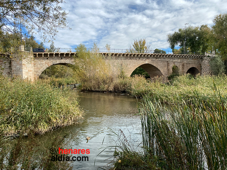 Este lunes comienzan las obras de iluminación del puente árabe ...